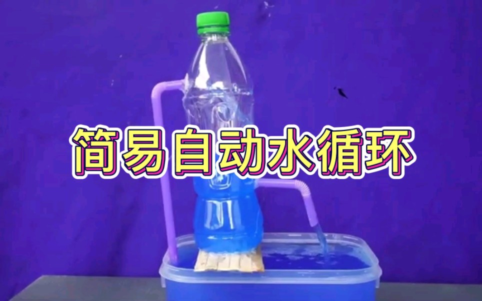 简易自动水循环系统,制作超简单,值得一试。