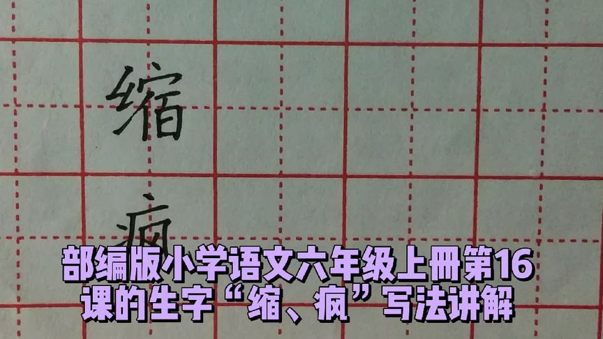 部编版小学语文六年级上册第16课的生字“缩、疯”写法讲解