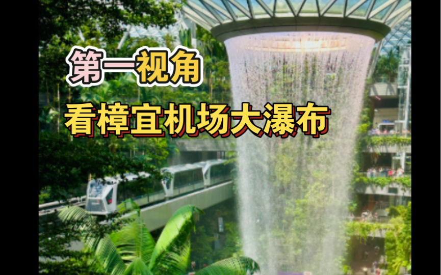 全球最美机场新加坡樟宜机场,超大室内大瀑布来咯～