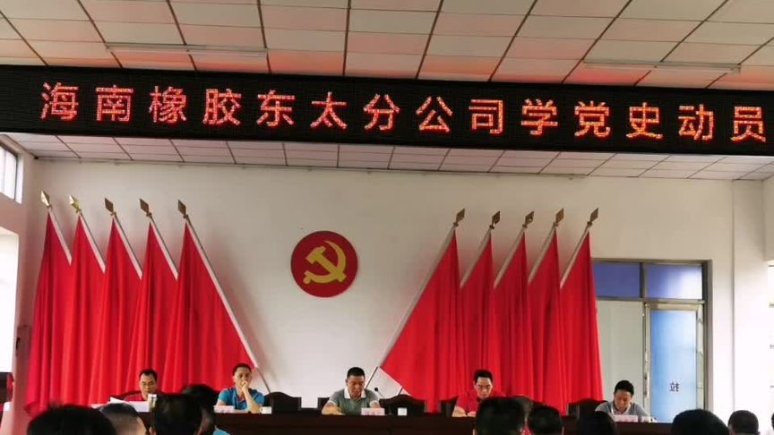 海南橡胶东太分公司党委会、党总支、党支部学习党史动员会。~