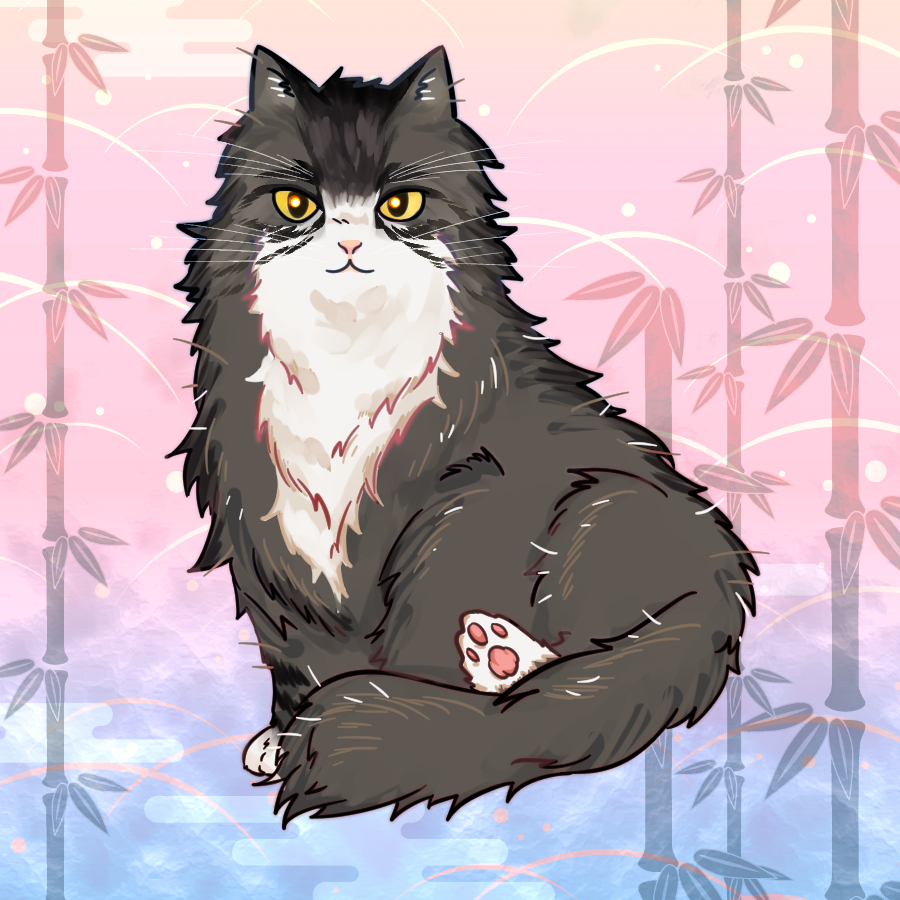 ACGN排行猫 
