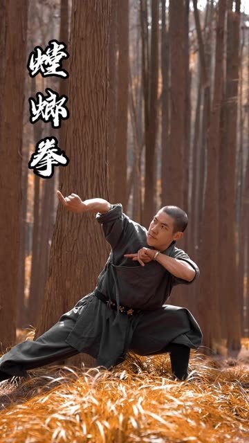 象形拳,即模仿各种动物特征形态结合武术技击