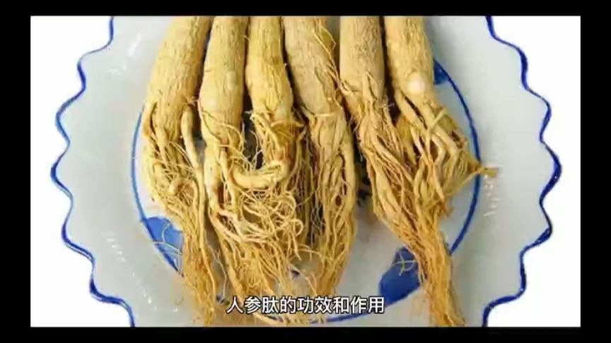 人参肽的功效和作用是什么?