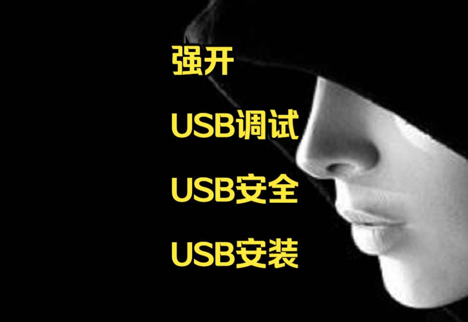 小米8se强开调试 USB安全 USB安装 root 一键刷机包