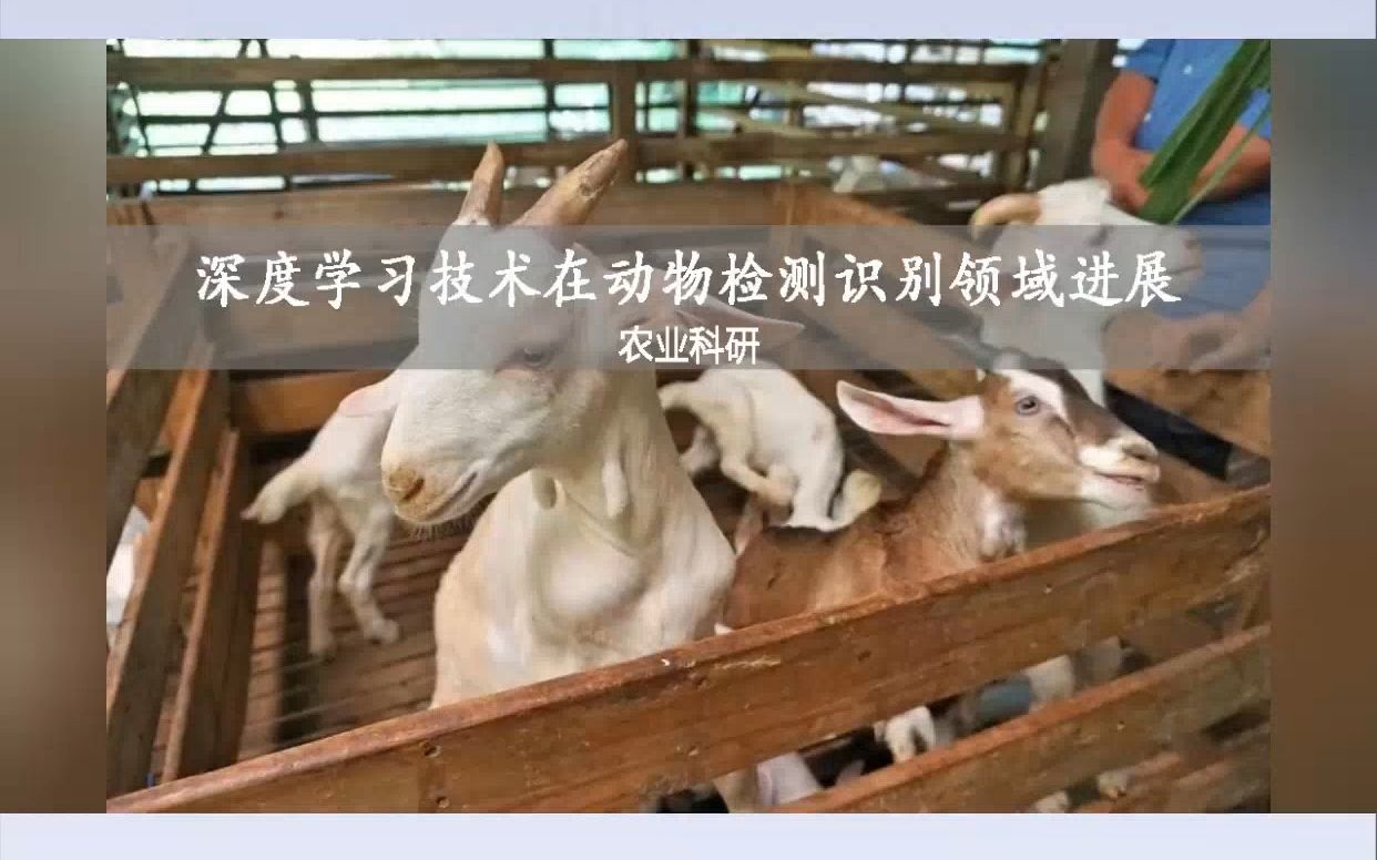 深度学习助力畜牧业数字化管理