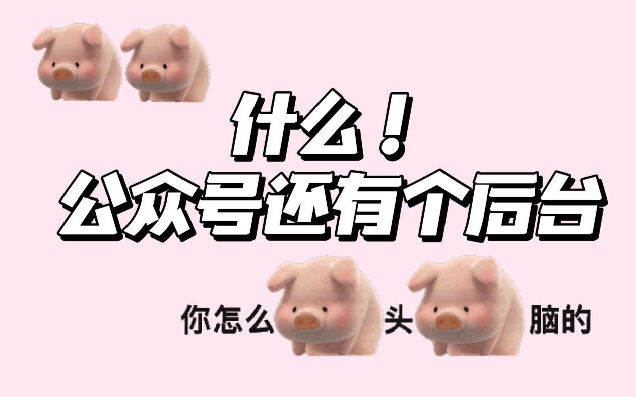 基础公众号后台操作指南!小白入门可߆