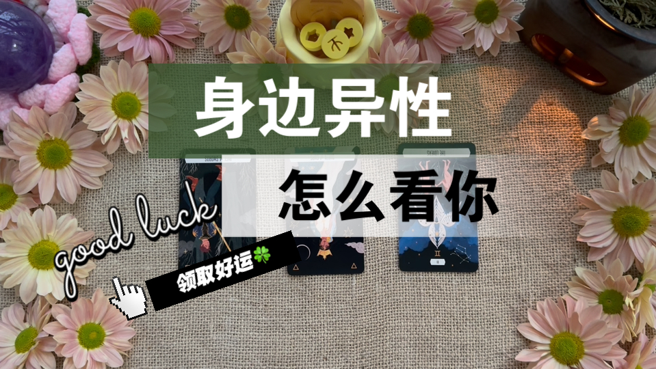 【李奶奶塔罗】身边异性怎么看你