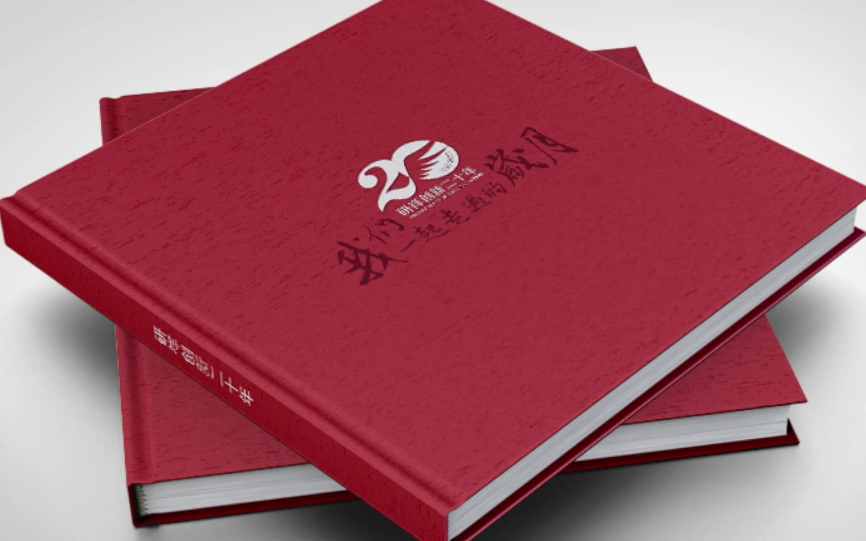 元化设计:企业20周年纪念册画册设计集团品牌形象宣传册设计