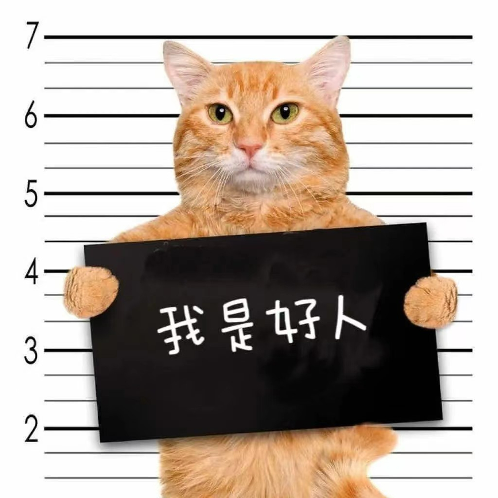 从不敲代码的啊晨 