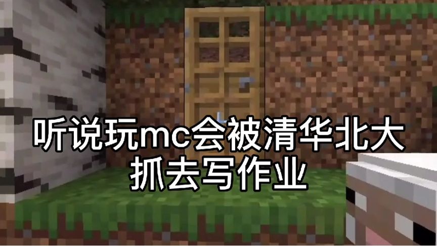 据说玩MC会被清华北大抓