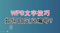 WPS文字技巧:如何自定义编号?—江下办公