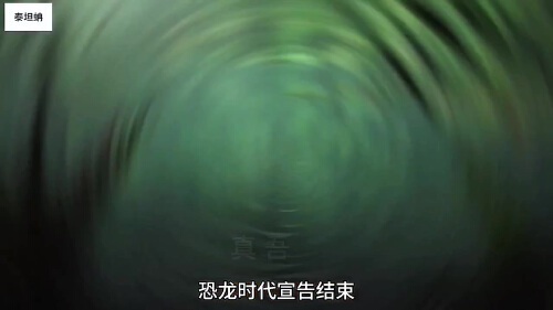 晒出我的高光时刻蛇中之王泰坦蚺有多猛?以巨型鳄鱼为食捕食能力...