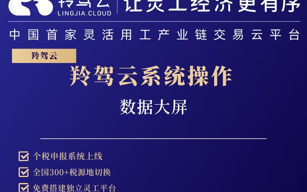 灵活用工平台数据大屏