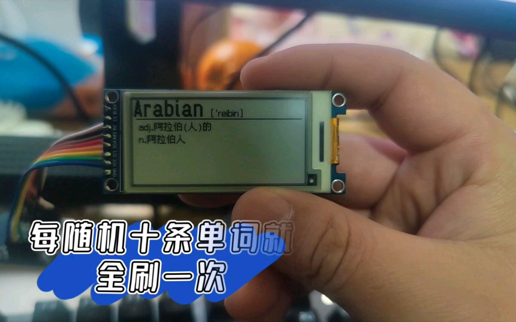 [软核]自制汉硕价签墨水屏单词本核心功能测试