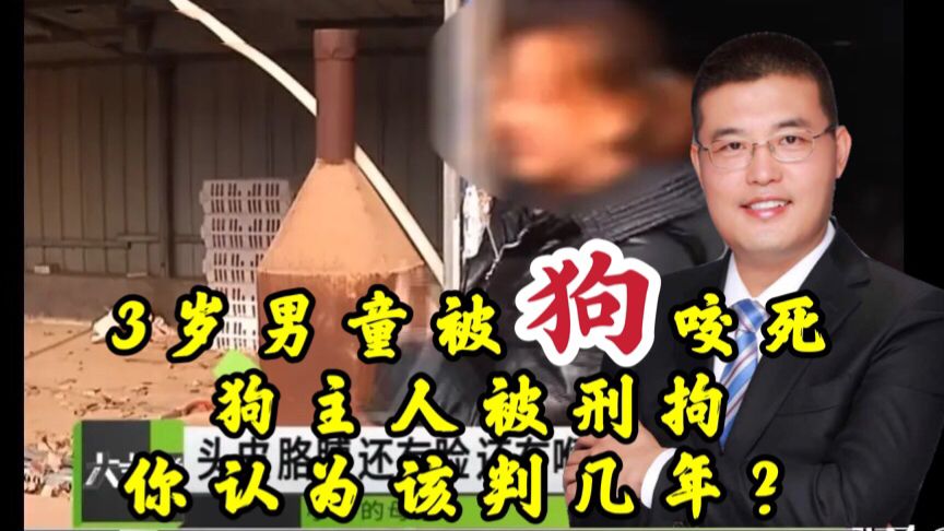 3岁男童被狗咬死,狗主人该当何罪?会被判几年?