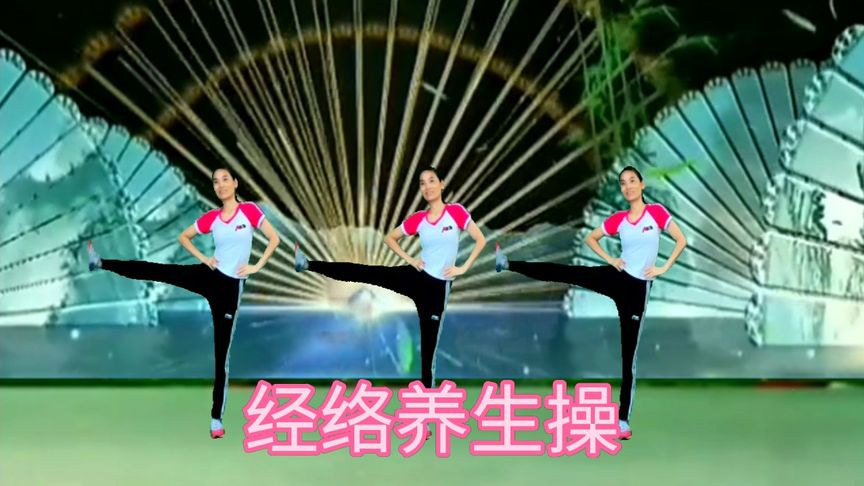 中医经络养生操,十分钟完整版。每天一遍,疏通经络,通气血