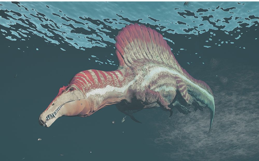 【棘龙】史前大鹅下水喽 侏罗纪世界进化2海怪mod