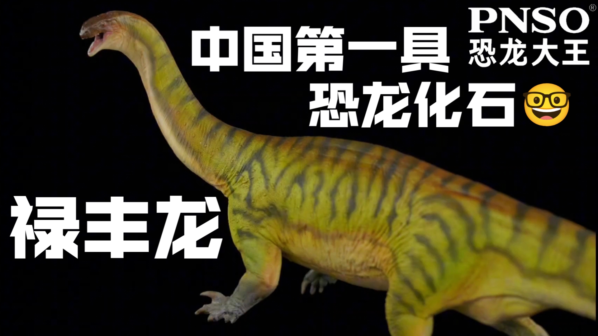 恐龙模型 PNSO 恐龙大王 成长陪伴系列081 科学复原 禄丰龙 依然