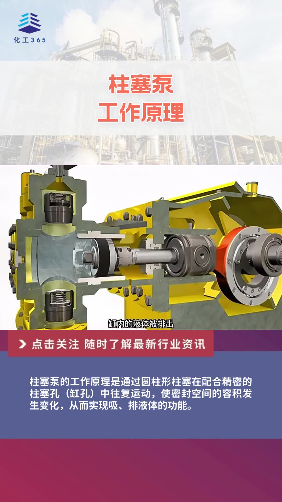 柱塞泵的工作原理是什么?