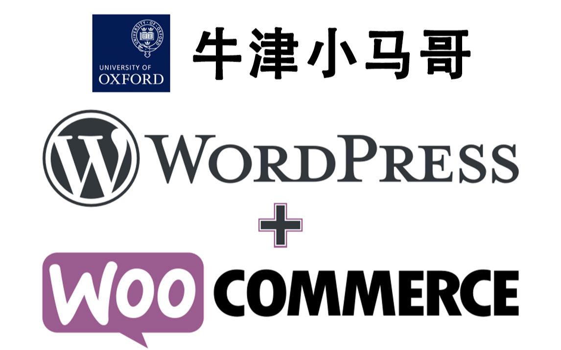 [牛津小马哥] Wordpress和Woocommerce新手教程 - 站外推广 第四期
