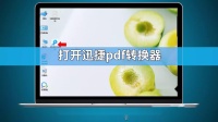 怎样将pdf文件转换成txt文档