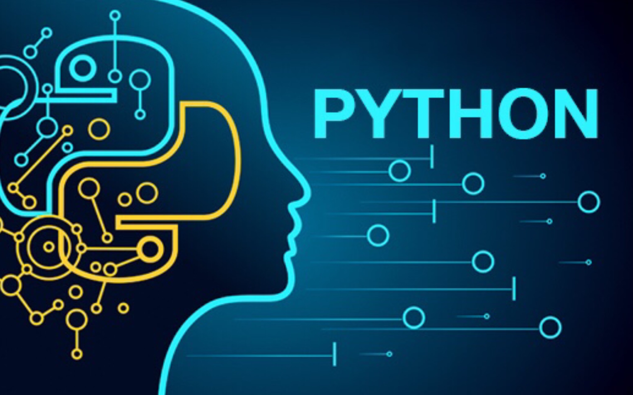 Python入门与实战