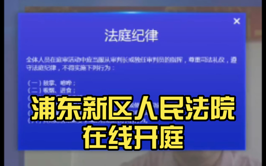 浦东新区人民法院在线开庭,机动车交通事故责任纠纷。
