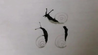 国画写意蜗牛技法,用笔细腻,一笔一画太唯美了