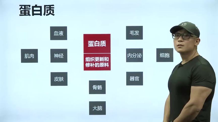 蛋白质分类与消化吸收原理