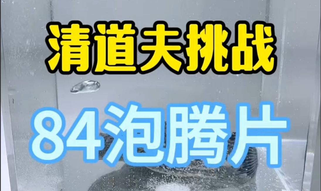 用几颗84泡腾片给清道夫消消毒,会发生什么呢?