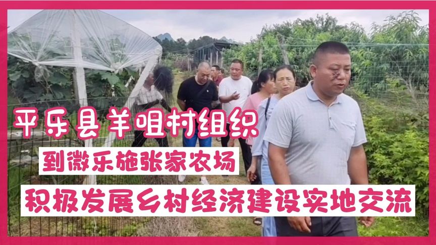 平乐县羊咀村组织到微乐施张家农场积极发展乡村经济建设实地交流