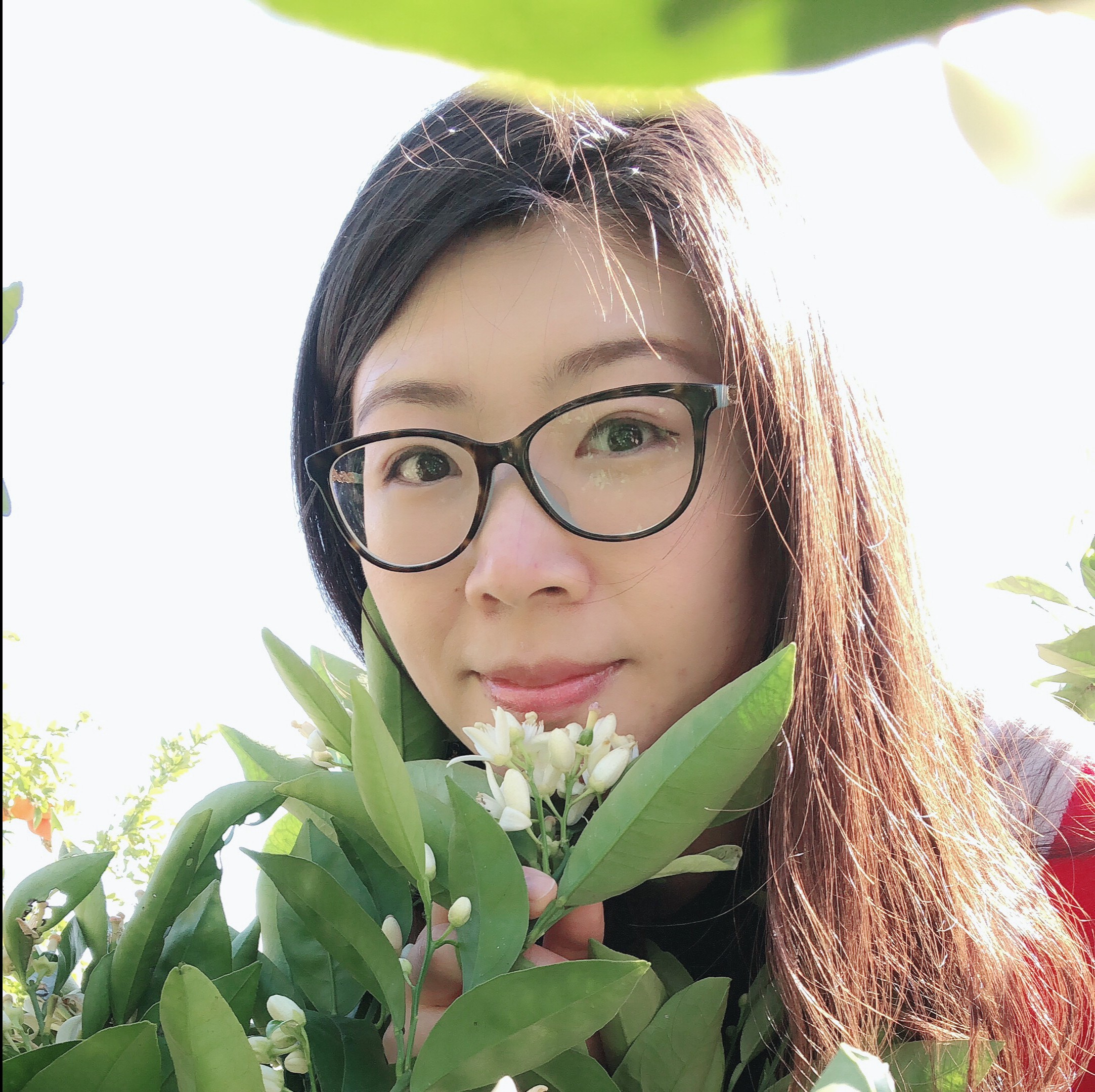 Helen的人生代码 