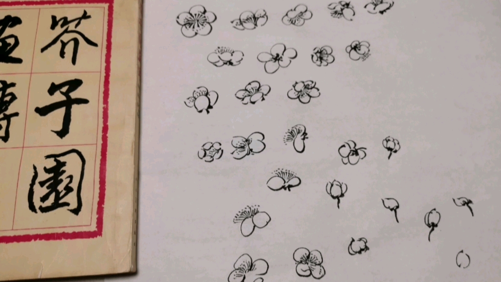 芥子园梅花画法