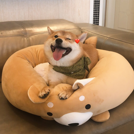 动漫小解说 