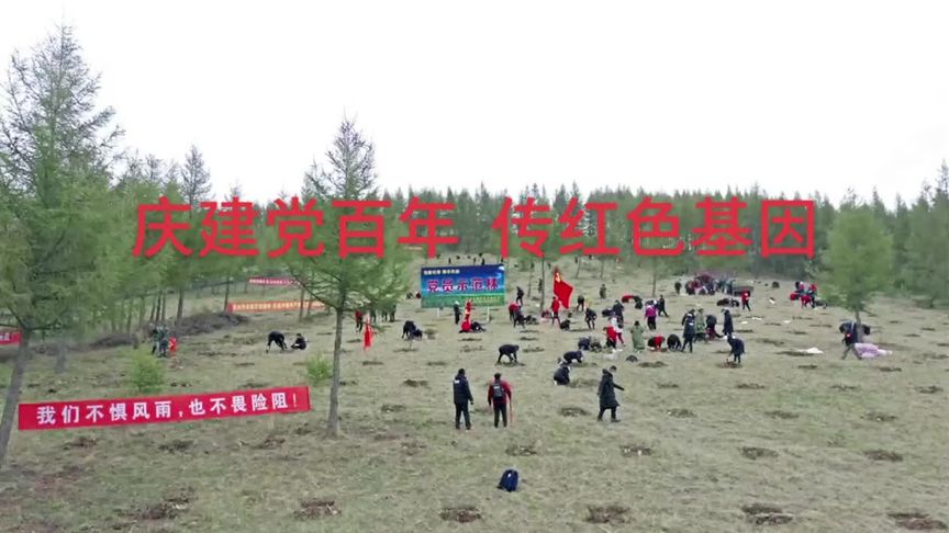 发扬塞罕坝精神 走好新时代长征路#植树造林