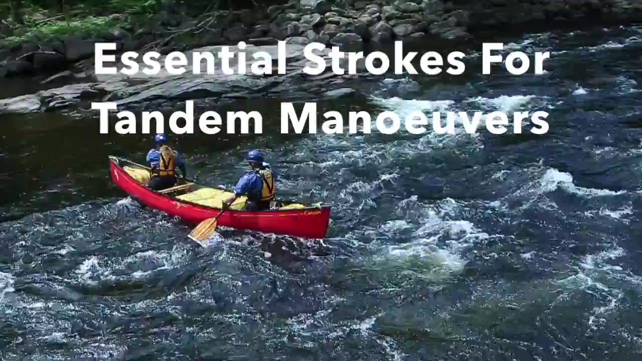 双人独木舟教学 Essential Strokes For Tandem Maneuvers