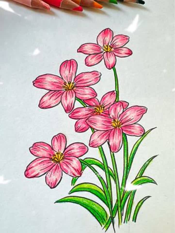 带你每天解锁一款小花花的画法 #简易花草画法 #简笔画 #彩铅手绘 #...