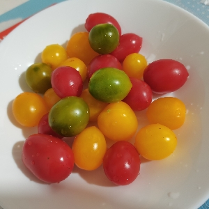 你是哪个颜色的小番茄 