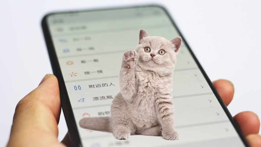 手机锁屏设置一只猫,有人动你微信猫就出来喵喵叫,操作只需三步