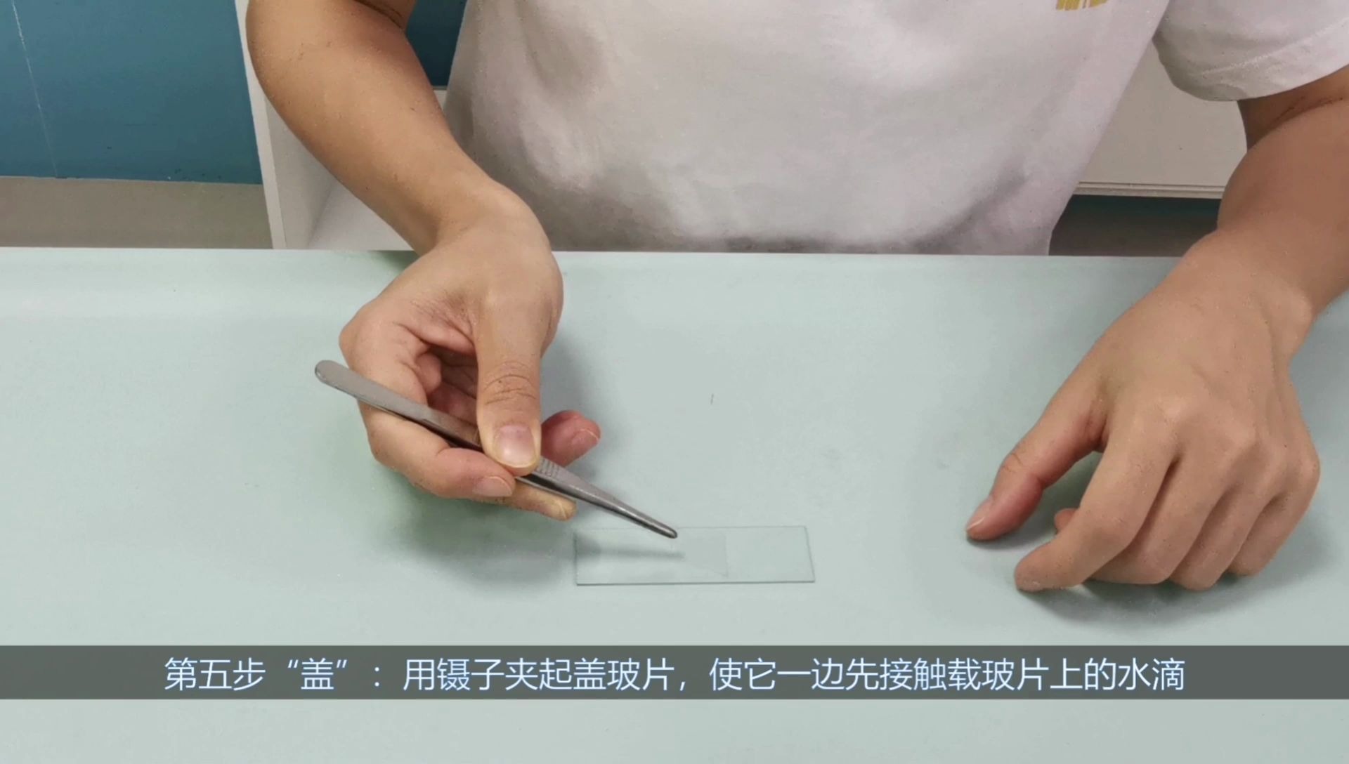 【初中生物实验】口腔上皮临时装片制作