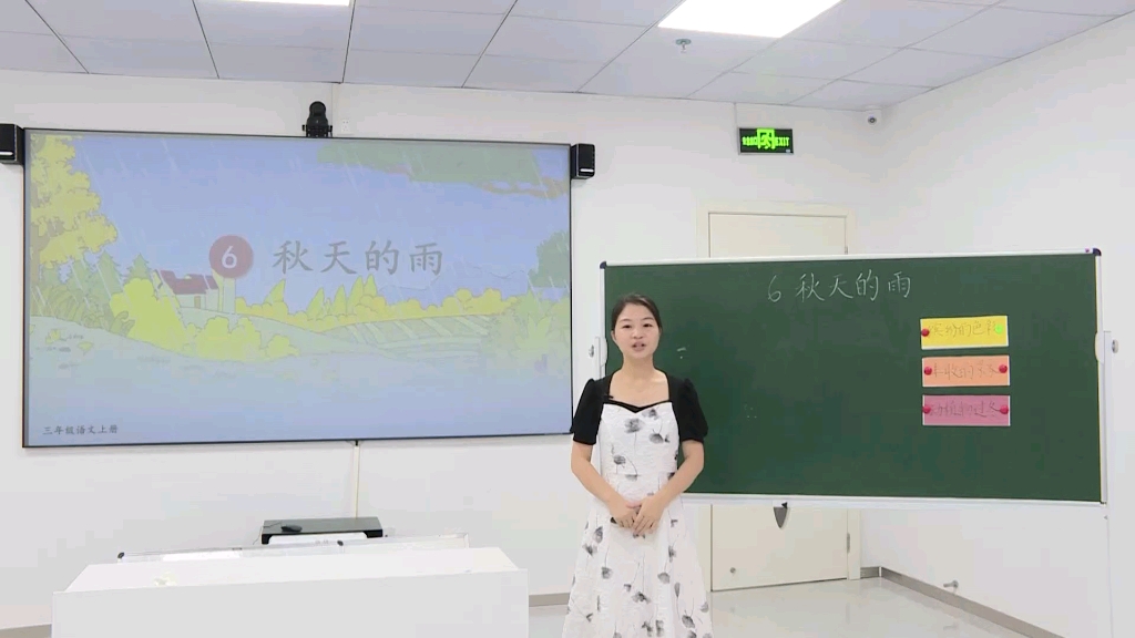 小学语文无生试讲《秋天的雨》