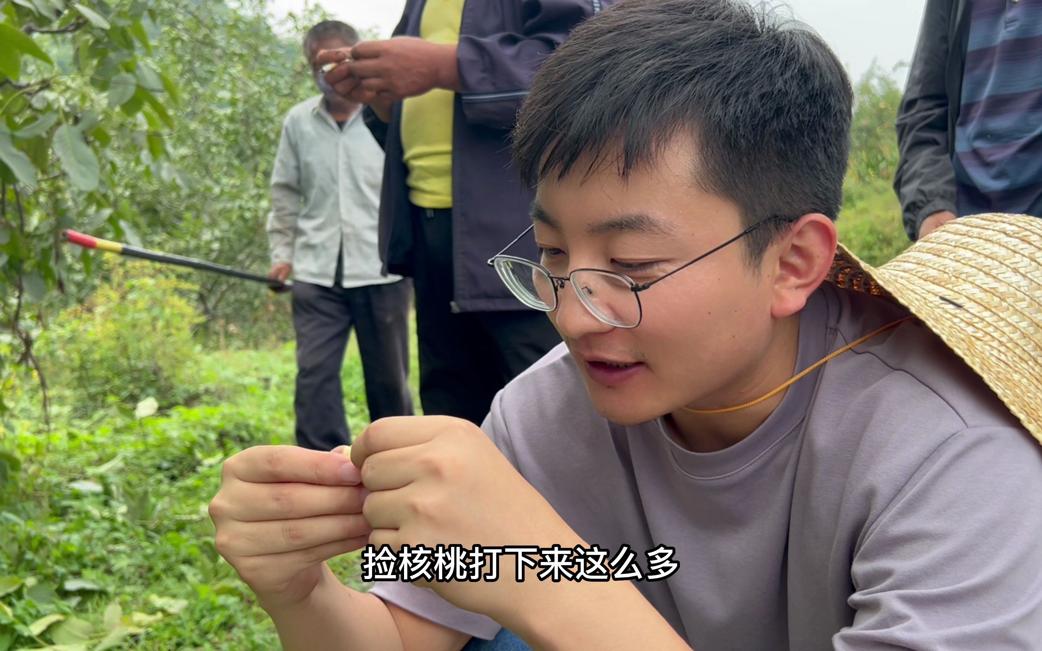 谁说考编乡镇不好?被村支书邀请啦,今天又是上山打核桃的一天