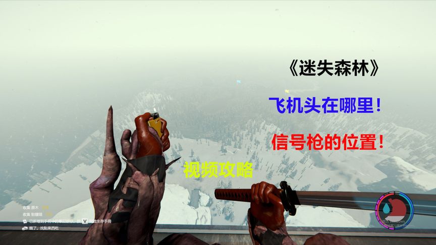 视频攻略!《迷失森林》飞机头信号枪位置在哪里怎么找?秦天dada