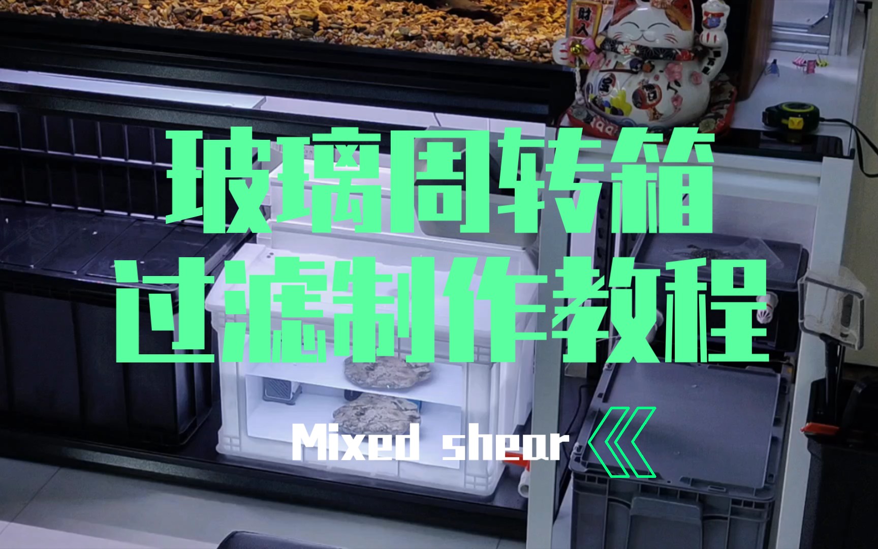 玻璃周转箱的过滤制作教程来啦~这么一套养养红面墨蛋岂不美滋滋