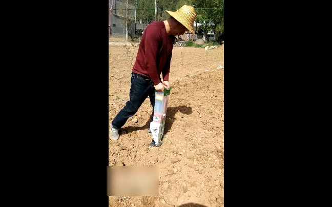 小型手提式玉米播种机