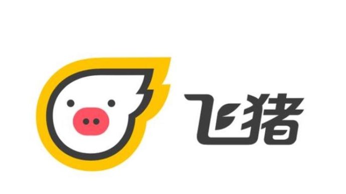 飞猪某员工四年间倒卖66亿元面额机票行程单,获利超千万元