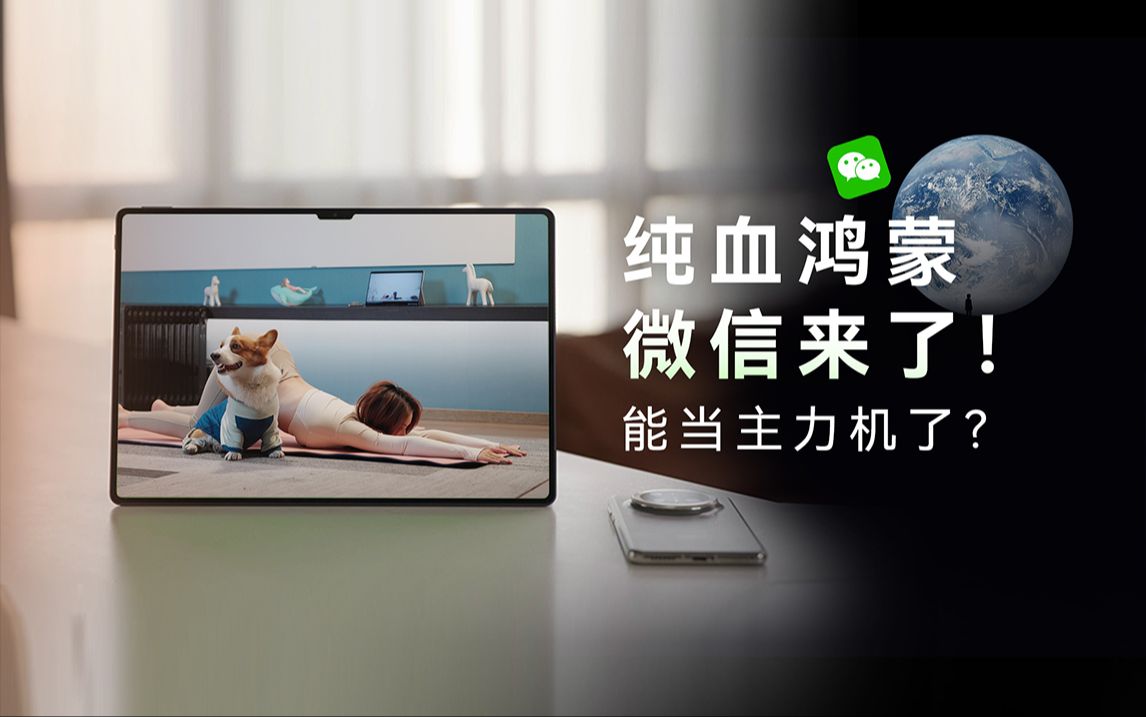 纯血鸿蒙微信来了!沉浸式体验鸿蒙的一天:真的能当主力机了?