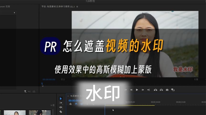 【PR速学】PR怎么用模糊遮盖去除水印