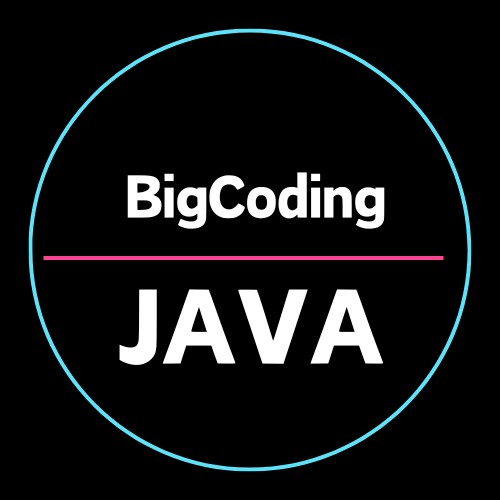 BigCoding 