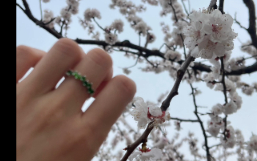 翡翠小米珠是不太值得的抽奖哈哈,以后得评估,别为了面子。果然去了...